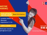 Full Stack Developer React Js Python Nam Info Inc