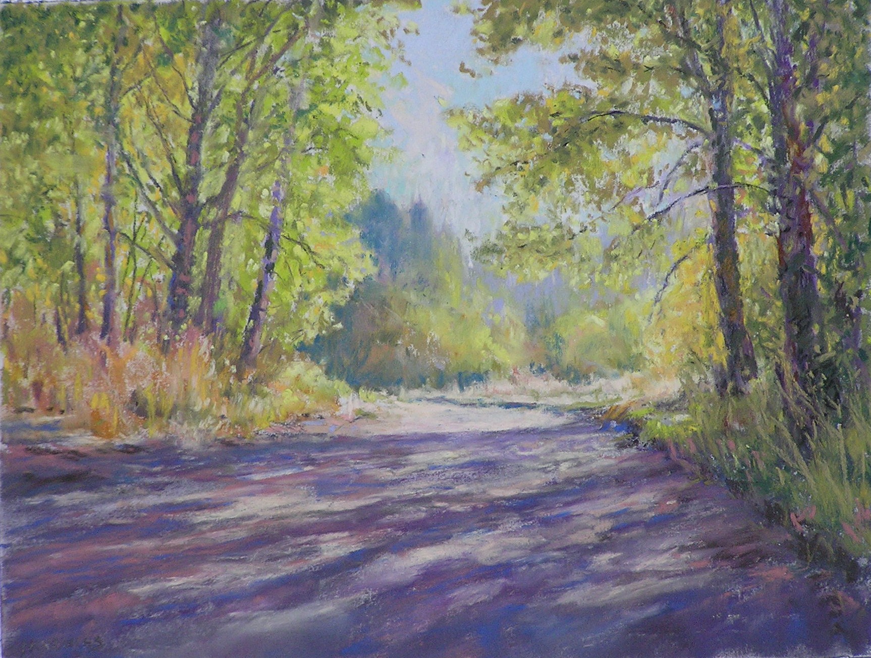 Diblee Point Shadows | Nancy Knowles' Art Blog