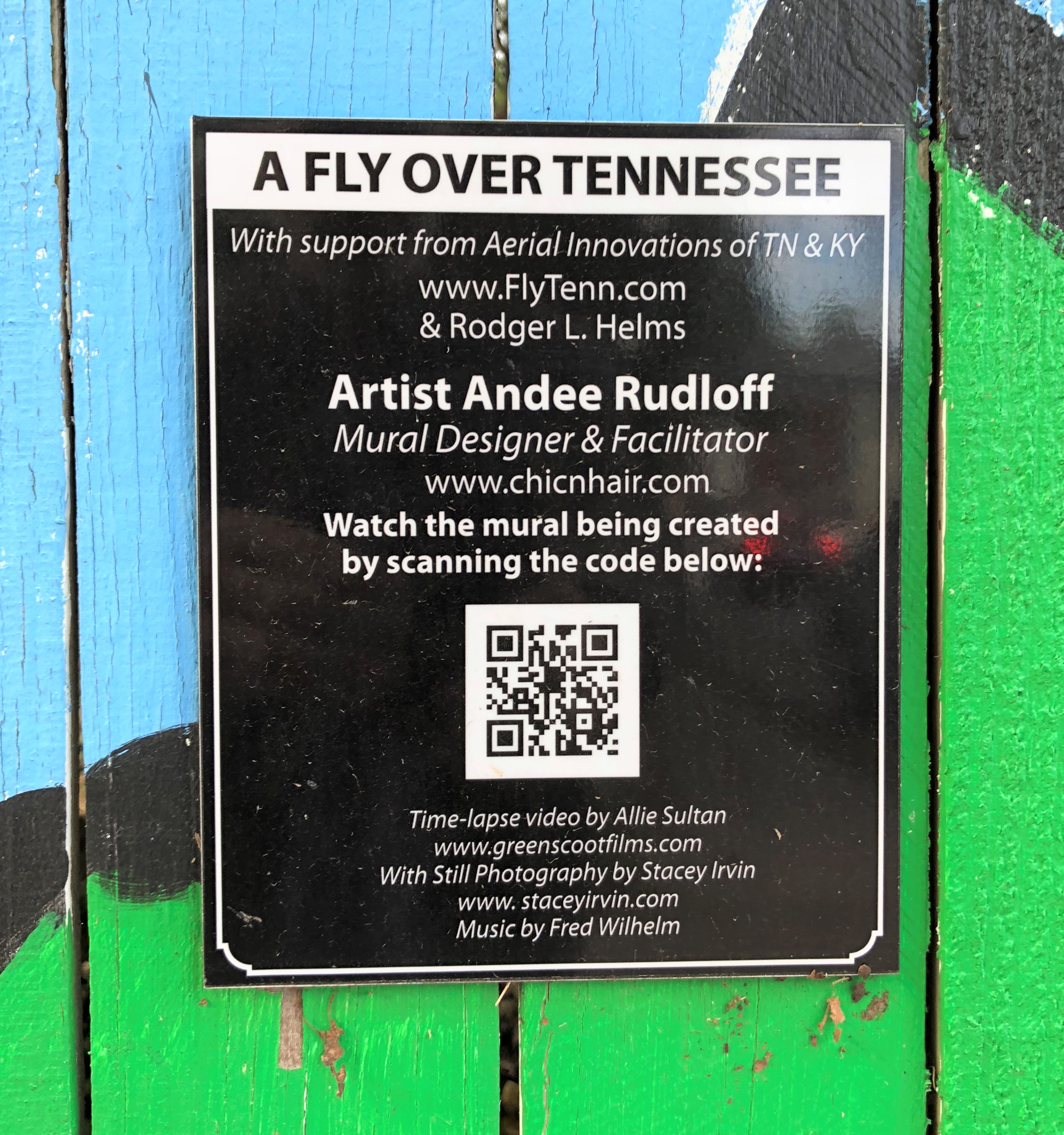 A Fly Over Tennessee - nashville public art