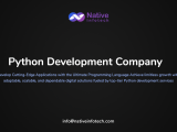 Python Development Company Native Infotech