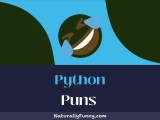 531 Python Puns To Coil Yourself Around For A Good Laugh Naturally Funny