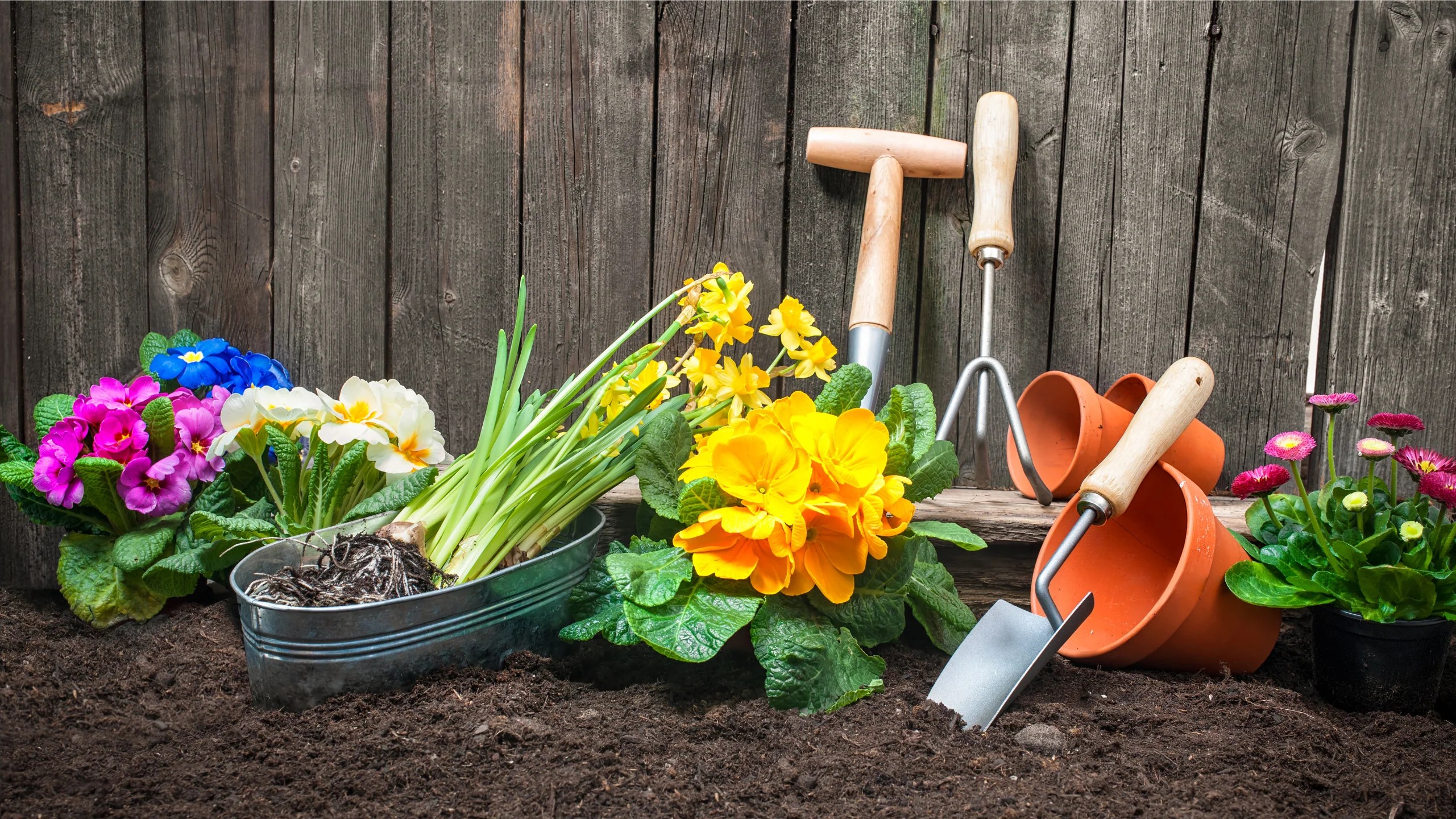 How To Start Your First Garden Nature Care Fertilizers