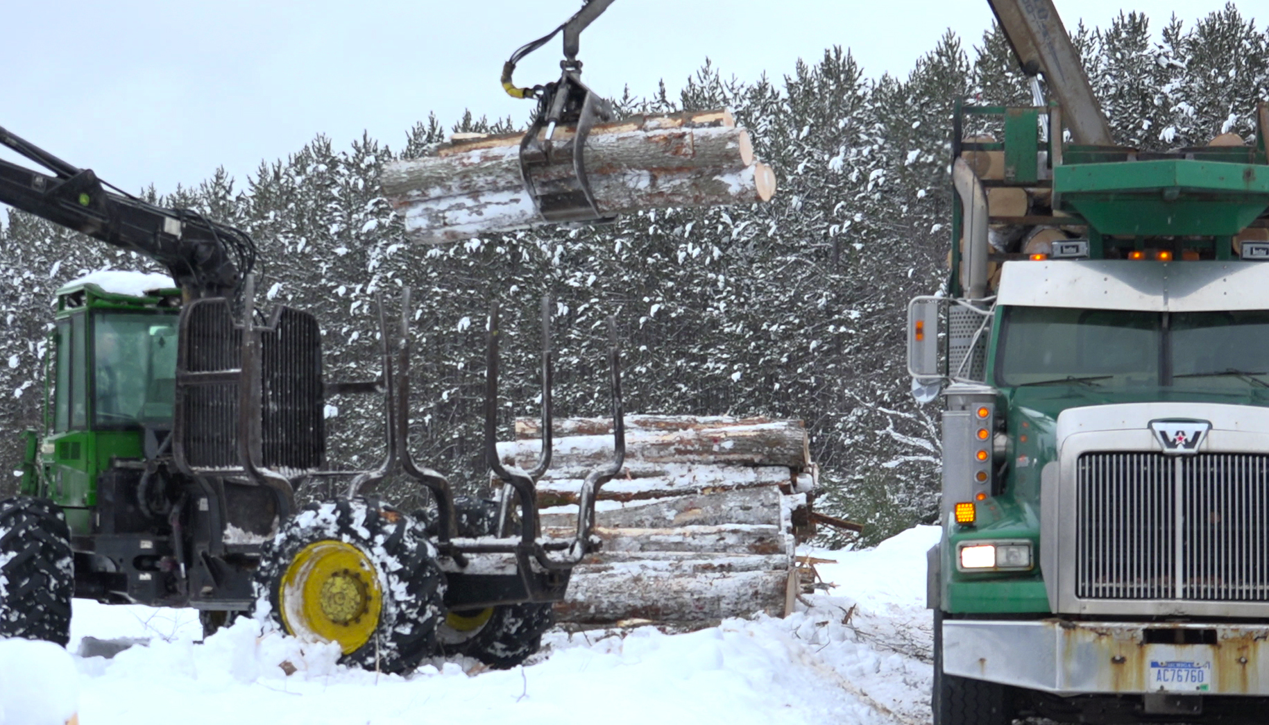 Seeing the Forester and the Trees – Nature Change
