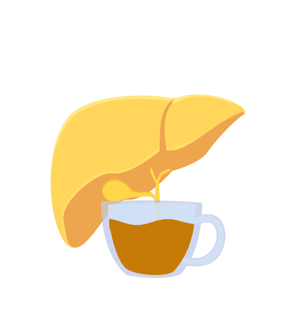 Liver Supplement - Nature's Kin Global