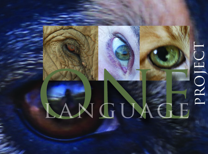 Blog | naturestage | a non-profit arts organization exploring our ...