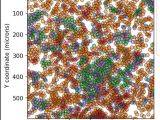 Spatial Interaction Tool Sit Multiplex Analysis Web Apps