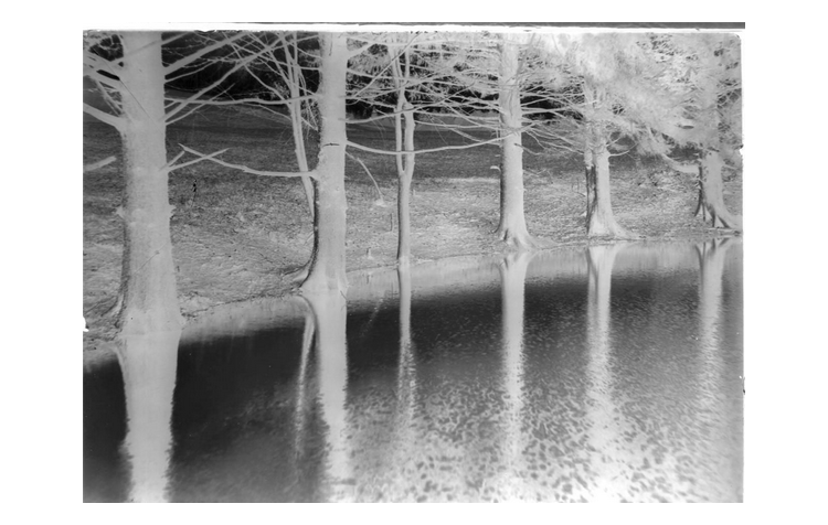 “Letters Found Near a Suicide,” by Frank Horne, from The Poetry of the ...