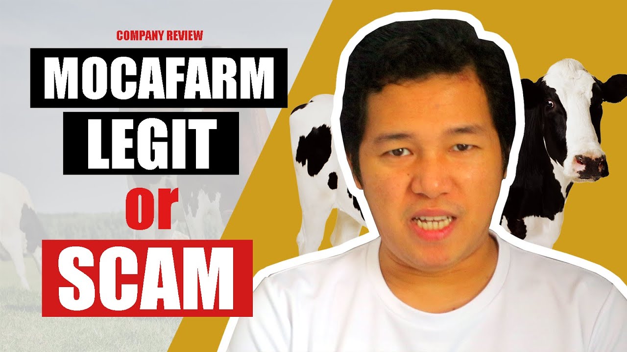 MOCA FARM Scam o Legit na Pagkakakitaan? | Company Review