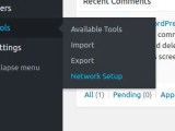 An Easy Guide For Creating And Managing Wordpress Multisites