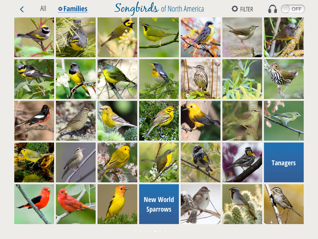 Review: Songbirds of North America by Drew Weber | Nemesis Bird