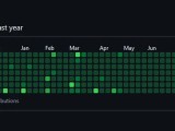 One Year Of Daily Code A Journey Of 366 Days On Github And Gitea