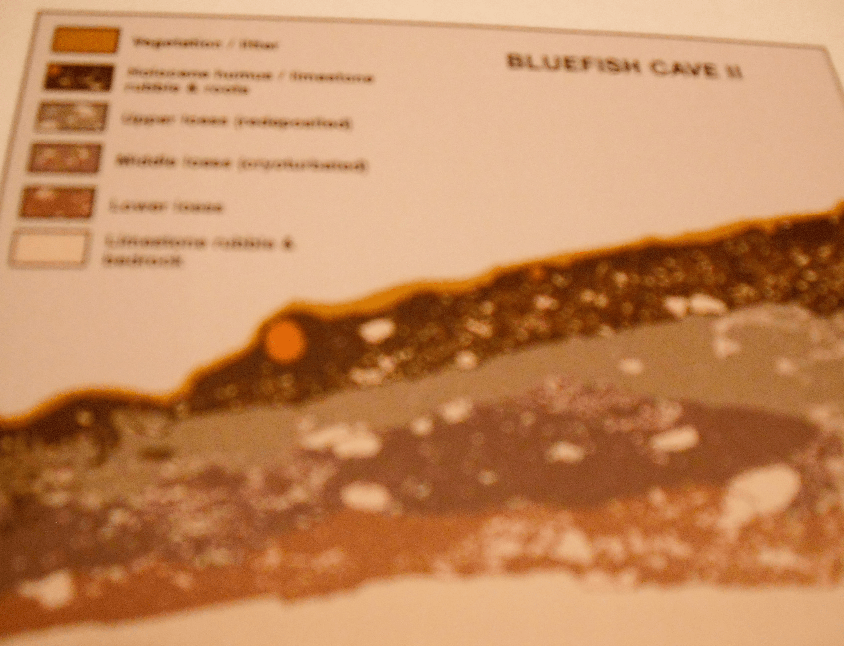 Bluefish Caves, Yukon territory