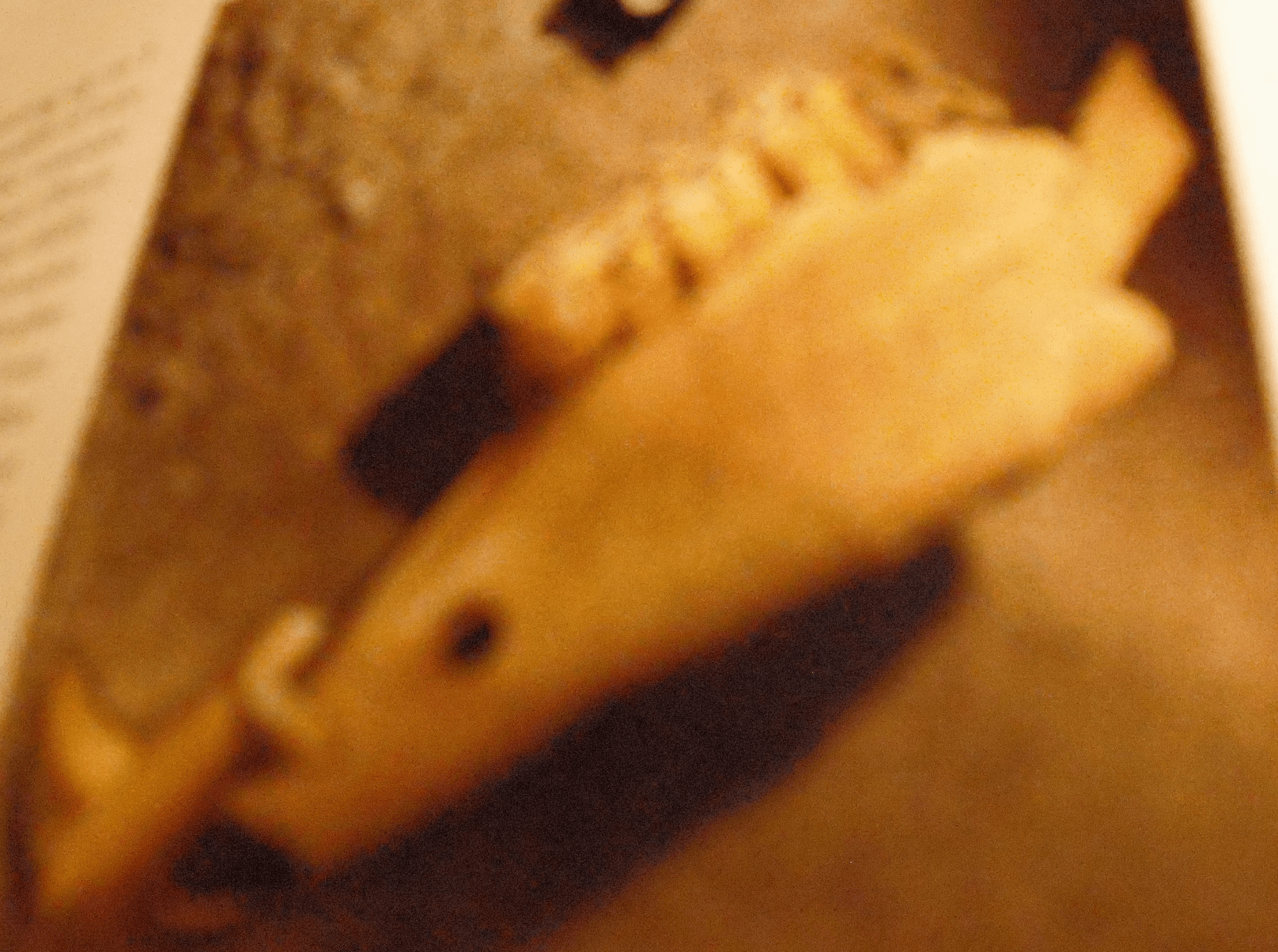 Bluefish Caves, Yukon territory