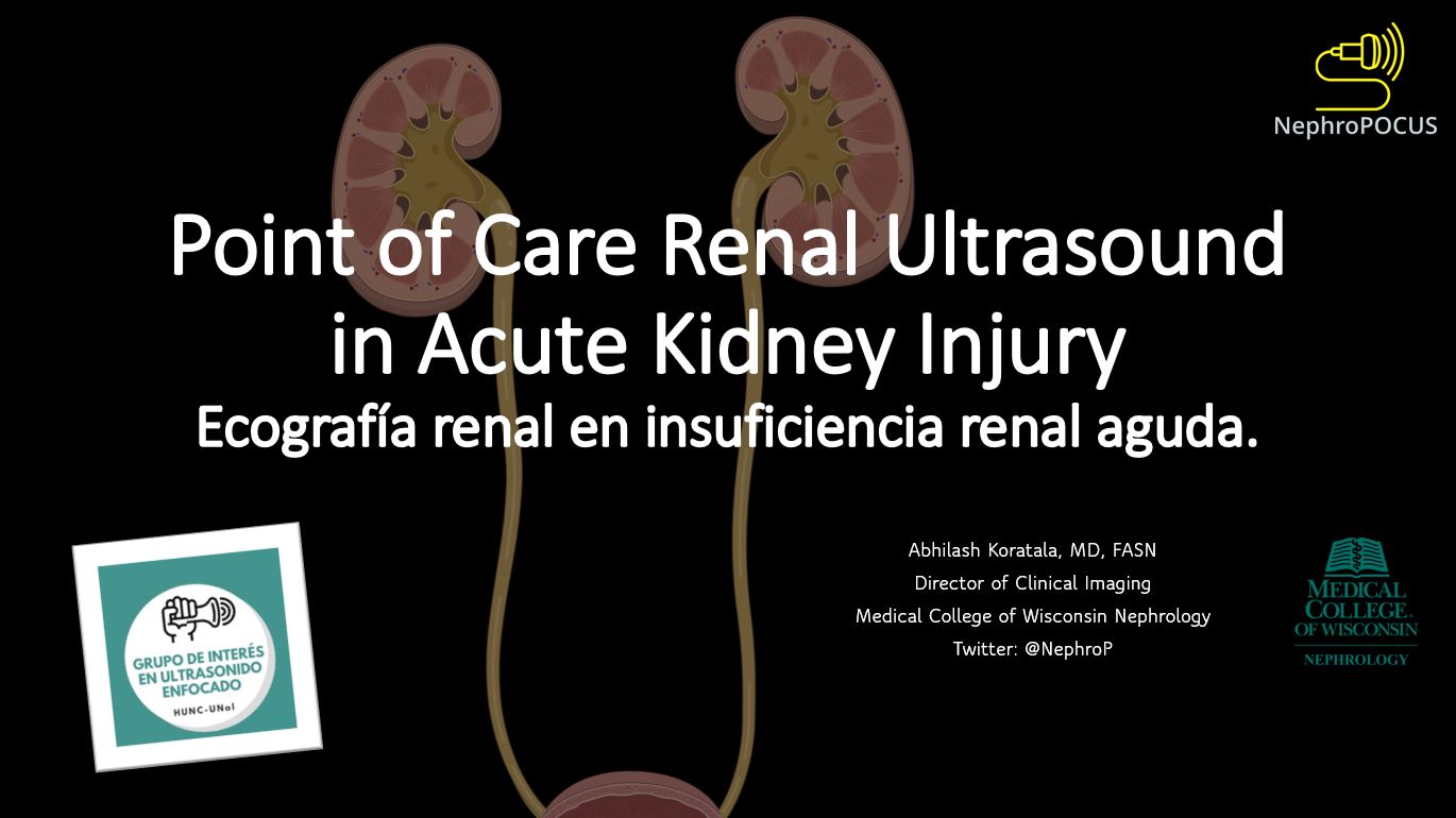 Point of Care Renal Ultrasound in AKI: Webinar – NephroPOCUS