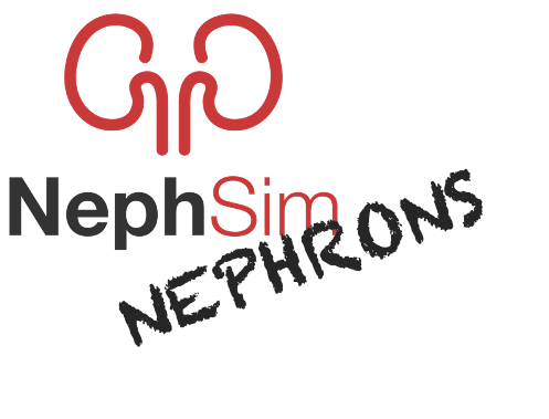NephSIM Nephrons