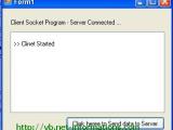 Vb Net Client Socket Program