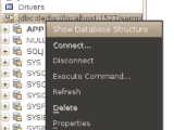 Netbeans Visual Database Explorer Tutorial