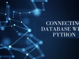 Python Database Connectivity Step By Step Guide