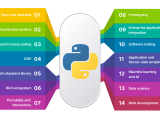 Why Python Is Best For Web Application Development