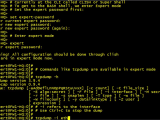 Checkpoint Cli Network Study