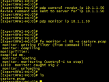 Checkpoint Cli Network Study