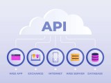 Why You Need Api Integration For Your Business Network Antics