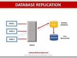 What Is Database Replication Network Interview