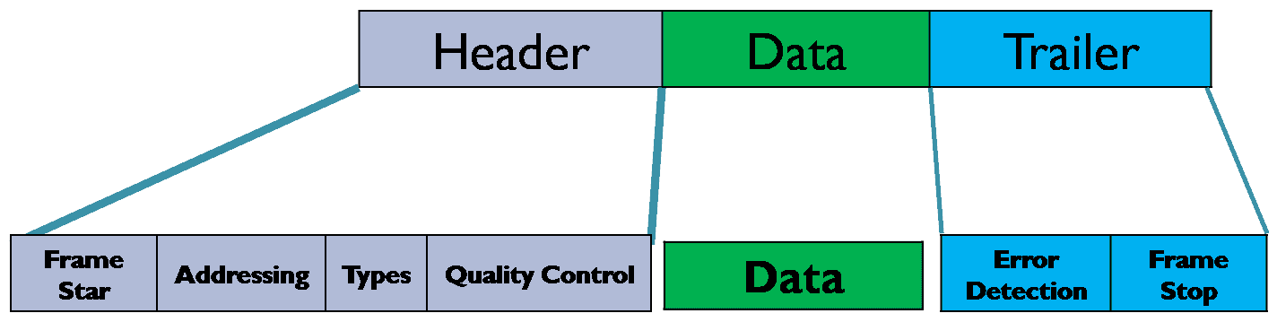 Datal link layer frame fields » NetworkUstad