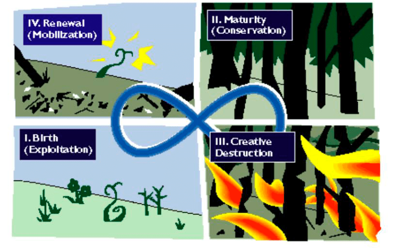 EXPLORING THE COLLABORATION CYCLE - NetworkWeaver