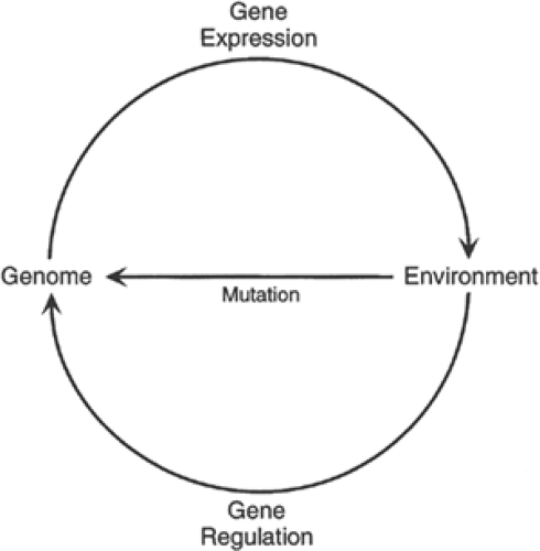 From Genes to Brain: Developmental Neurobiology | Neupsy Key