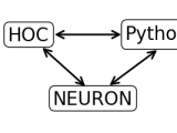 Neuron Python Basics Neuron Python Tutorials 7 5 Documentation