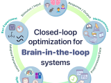 Closed Loop Optimization Of Experimental Parameters For Brain In The
