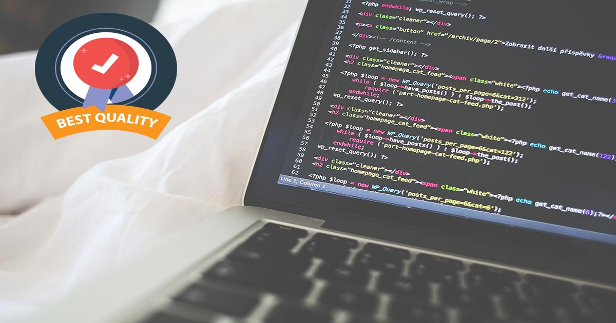 Can You Become a Programmer Without Learning Testing?