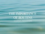 The Importance Of Routine During Isolation Newborn Posing