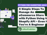 3 Simple Steps To Manage An Ecommerce Store With Python Using The