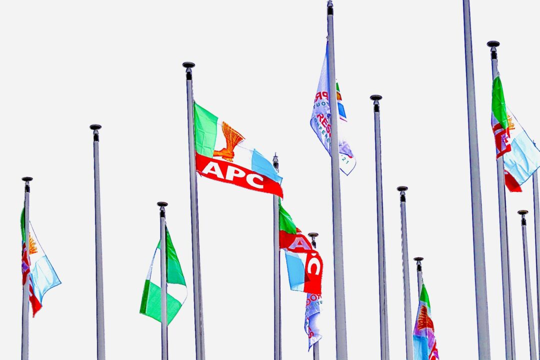 FULL LIST: Names Of 422 People On APC Presidential Campaign Council ...
