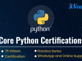 Master Python Basics With Clear Hands On Learning Perfect For Beginners