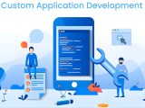 Custom Application Development An Ultimate Guide