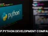 Top 10 Python Development Companies In India