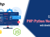 Expert Custom Web Development Services In Php Python And Node Js