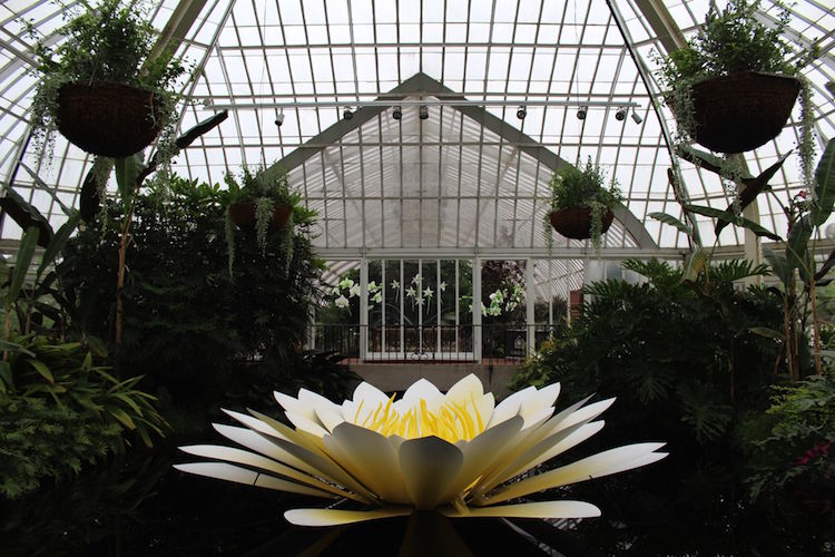 Nature gets supersized at Phipps Conservatory and Botanical Gardens