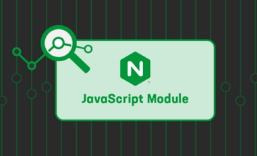 NGINX JavaScript 모듈을 사용한 로그 진단 - NGINX STORE