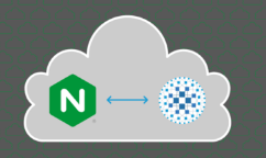 HAProxy vs NGINX: 클라우드 프록시 성능 비교