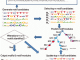 Big Biomedical Data Analysis Nicccce
