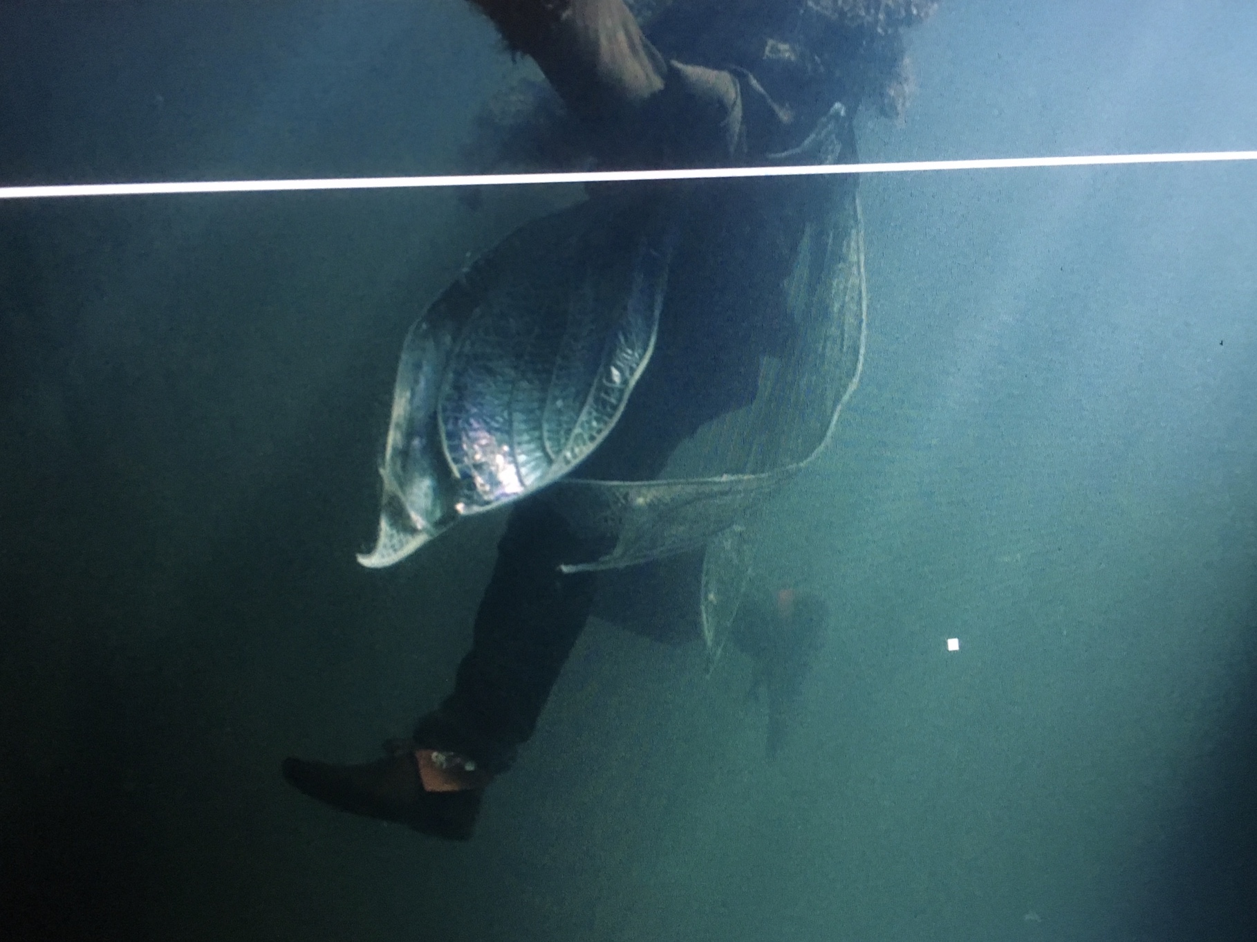 Gallery | Nick Dudman