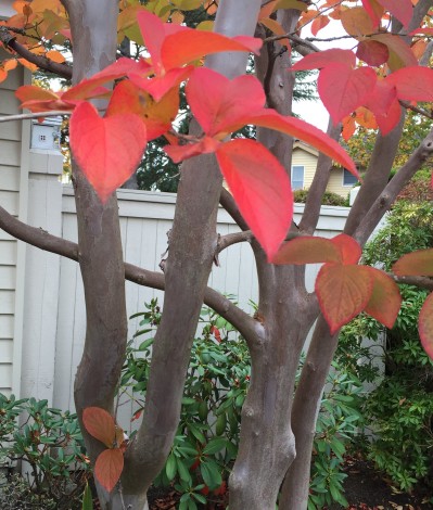 Little Things – Behind the Story