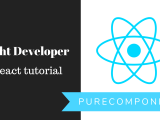Component Vs Purecomponent Night Developer