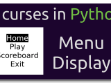 Introduction To Curses In Python