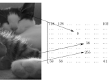 Tensorflow Python Squid S Notes