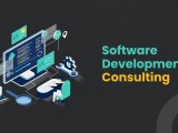 10 Software Development Consulting Benefits Unveiled